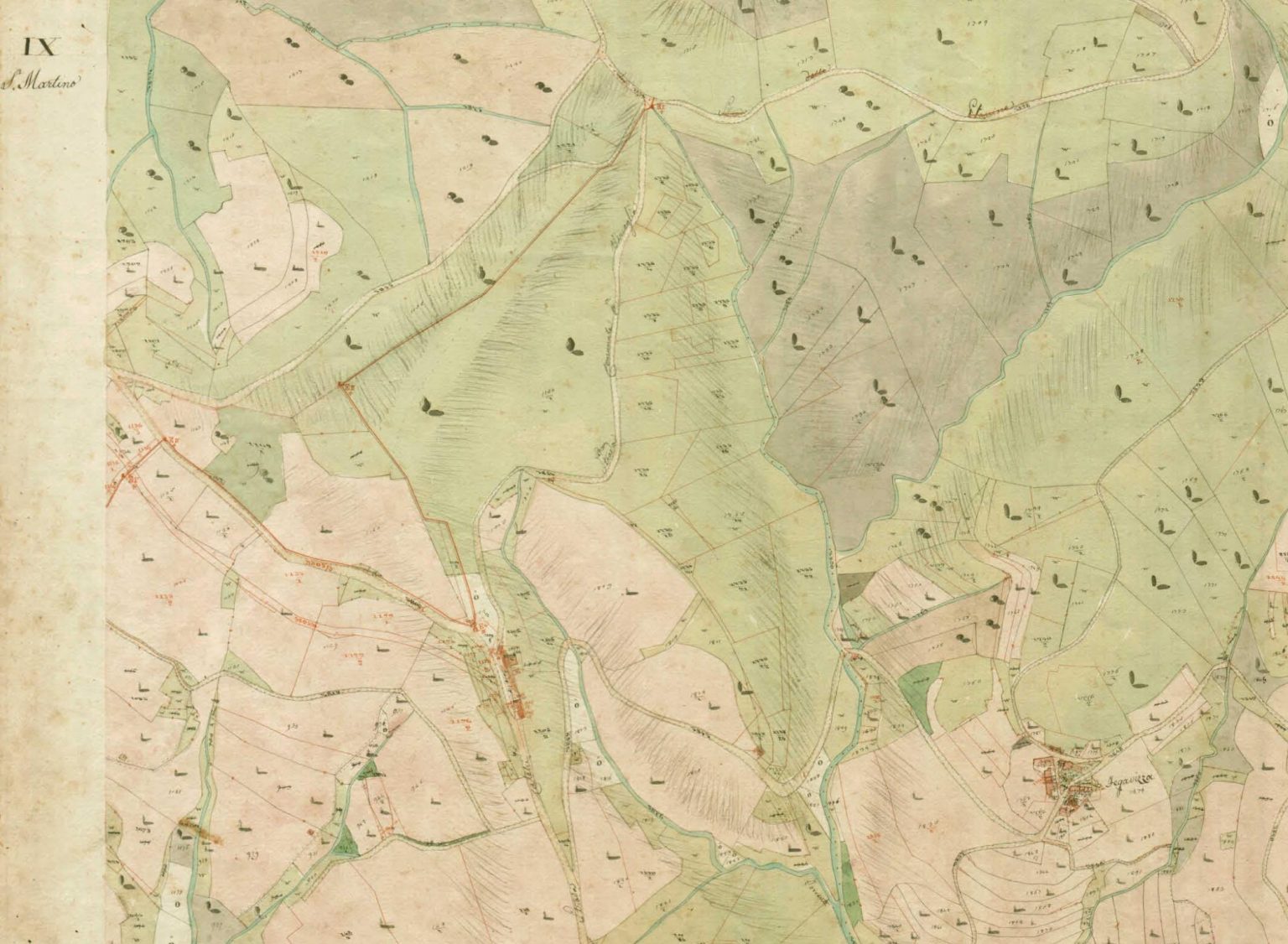 Adopt a vine at the historic Peterc vineyard - Peterc Vineyard Estate