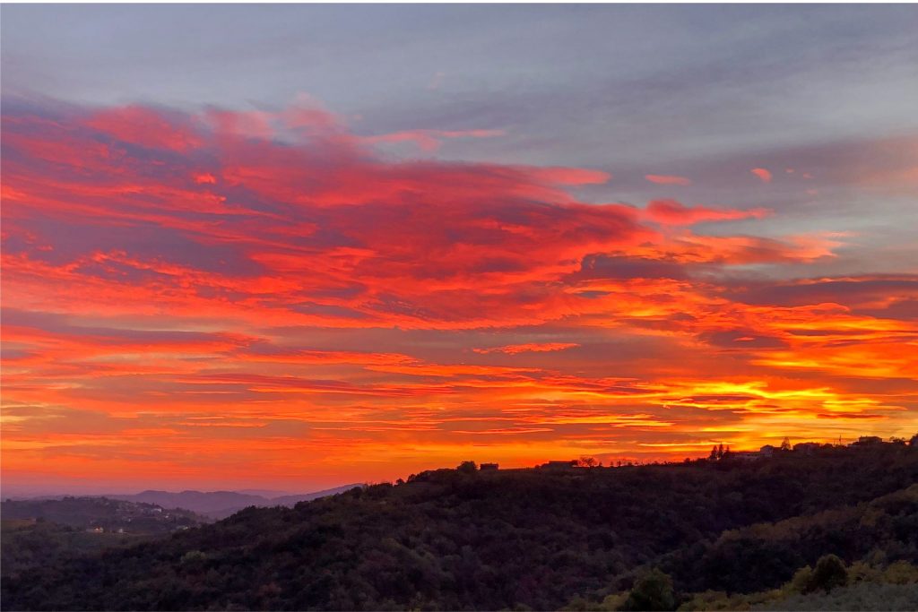 SPECIAL OFFERS - Peterc Vineyard Estate