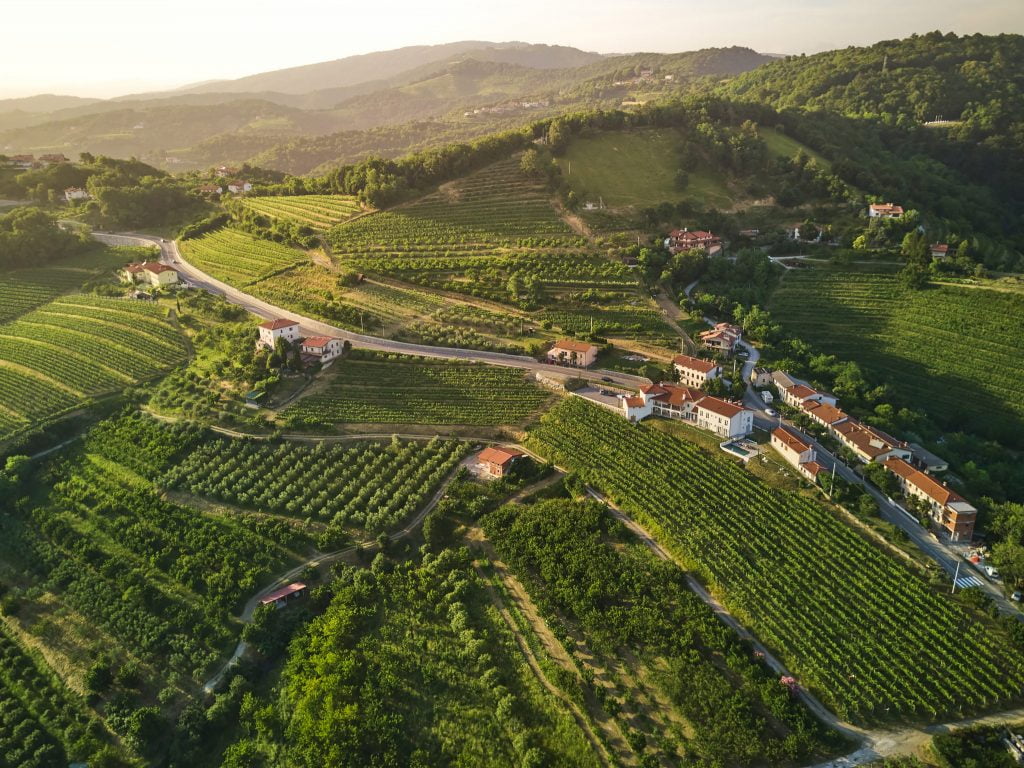 Welcome - Peterc Vineyard Estate